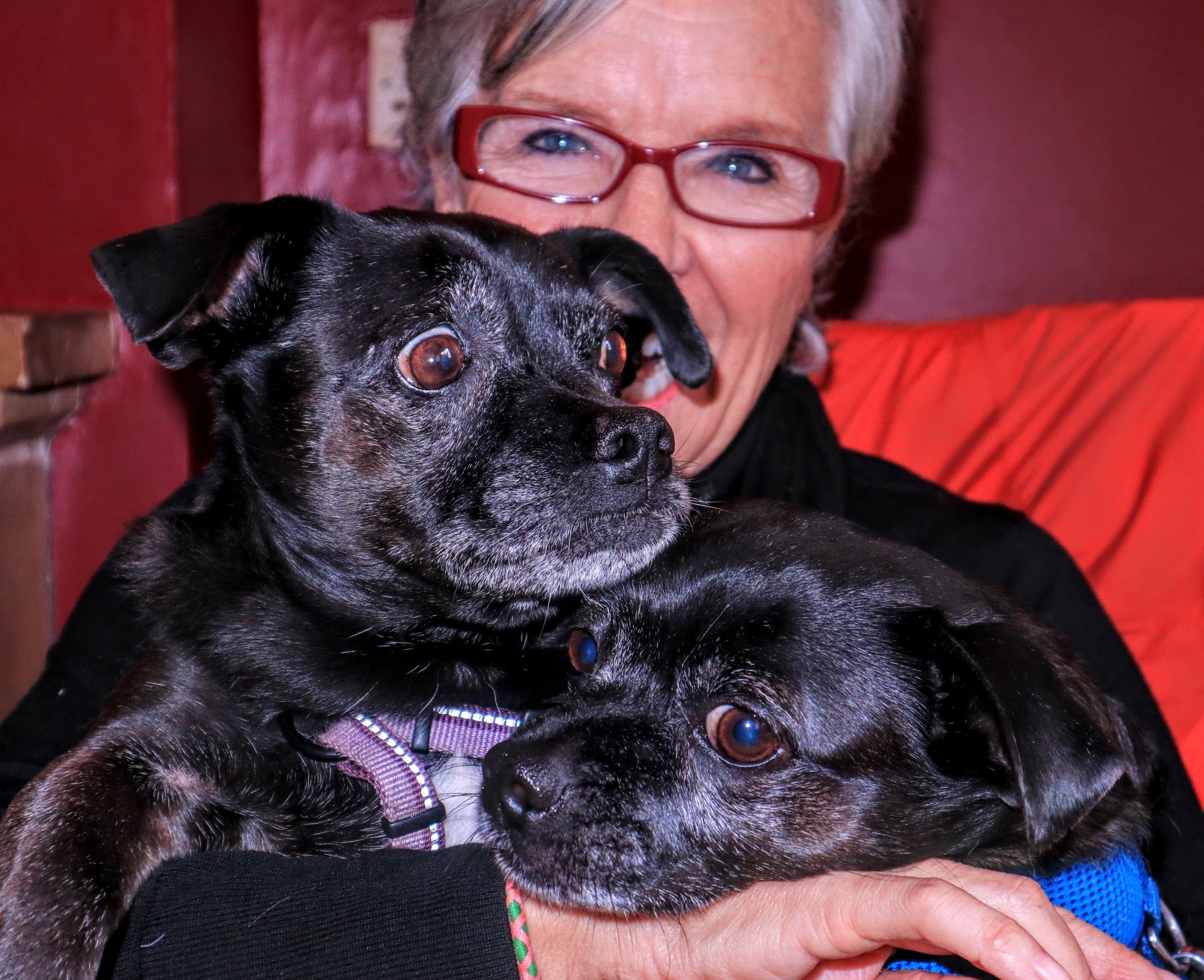 Bev Purdy and Lilly – Travel by Pet Sitting