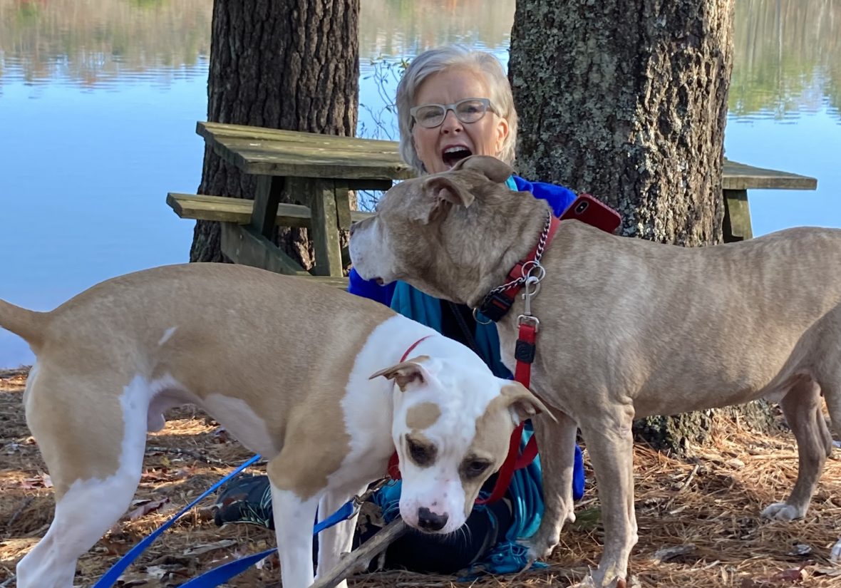 Travel by Pet Sitting – Bev and John, The Traveling Pet Sitters